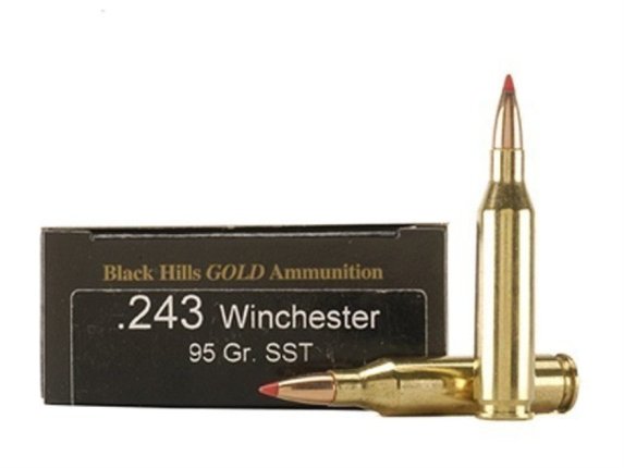 Modern Sportsman: A look At the .243 Win Rifle Cartridge | Gun Carrier ...