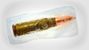 Is It Possible to Create Ice Bullets and Fire Them? | Gun Carrier