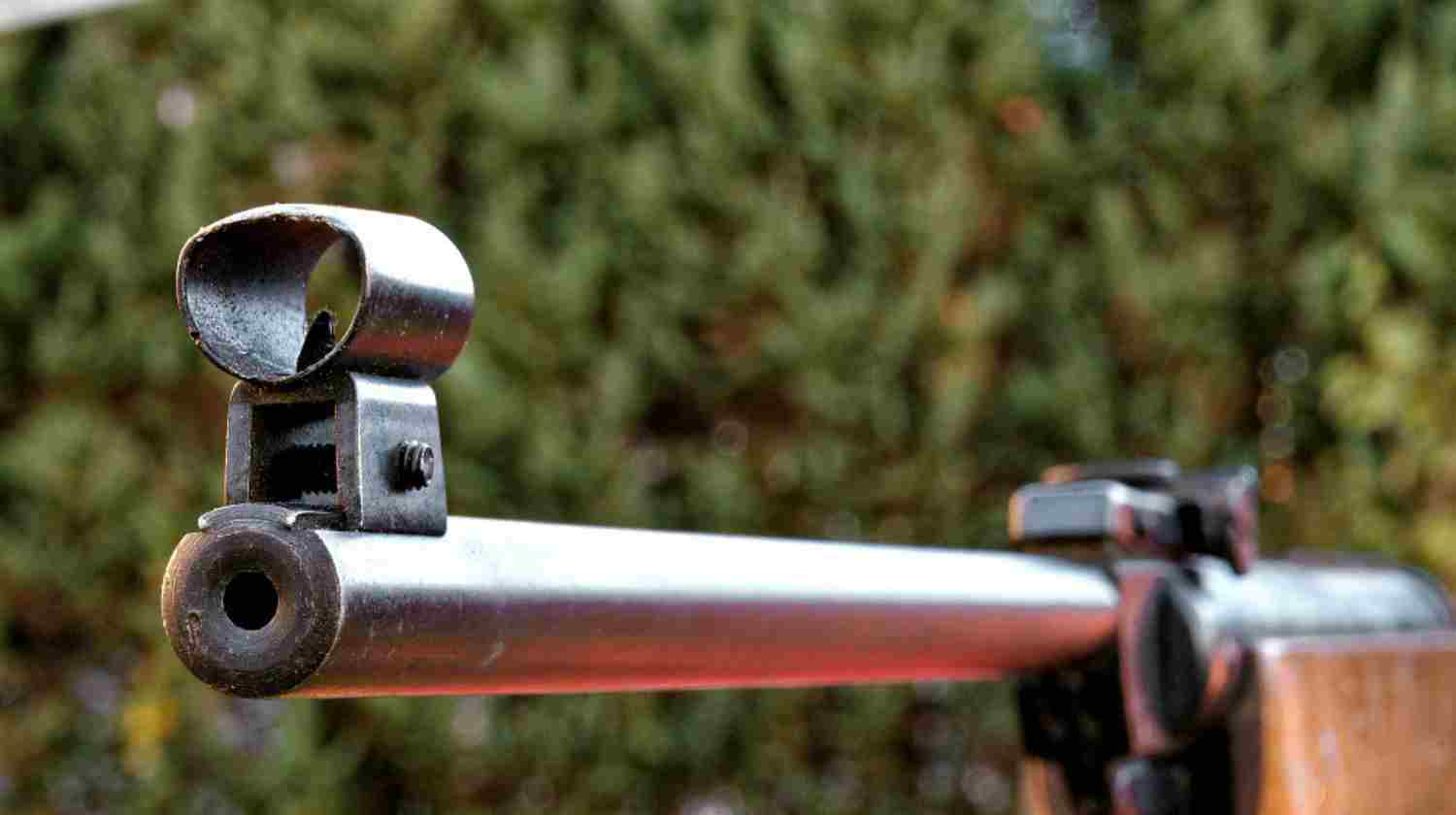 Tips for Gun Sights | Co-Witnessing Your Sights | Gun Carrier